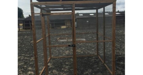 6ft x 6ft x 6ft high Aviary run Chicken - Rabbits - Puppy - Dogs - Cats ...
