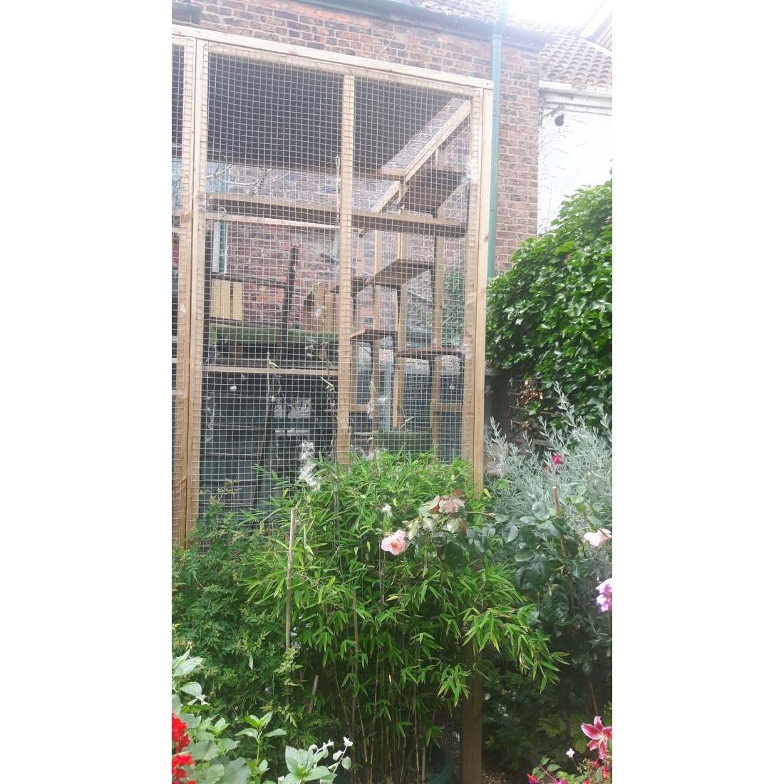 A Very Tall Catio - tallcatio