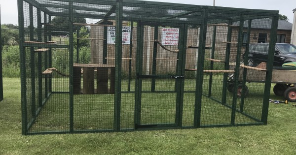 PVC Cat Play Pen 8ft x12ft - 8x12greencat