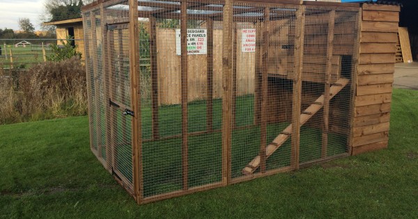 Cat Run With Raised Sleeping Box 6FT x 9FT - 6x9catbox