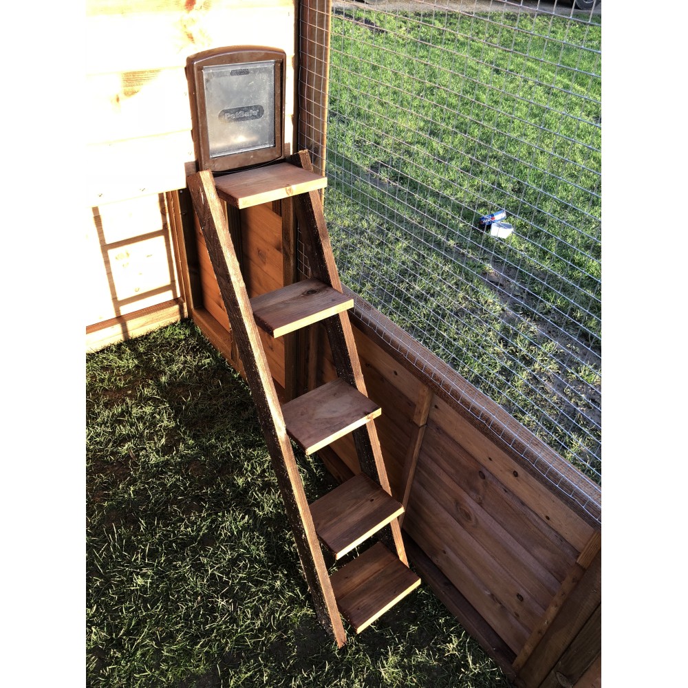 Cat Ladder 3FT Tall - 3ft ladder