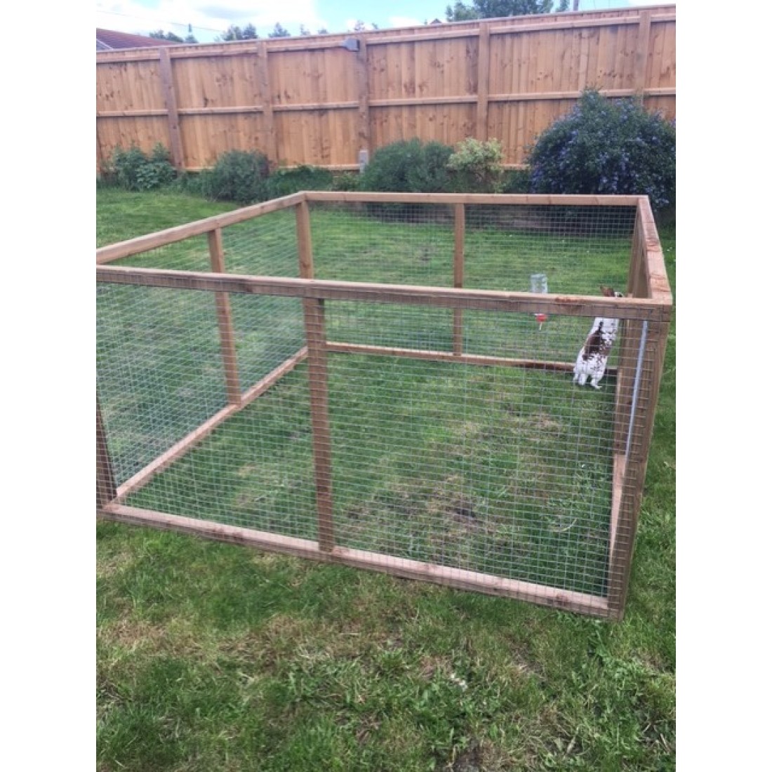 Rabbit / chicken run 3ft tall with door and mesh roof.